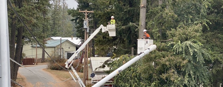 Right Tree, Right Place & Tree Safety » Pend Oreille